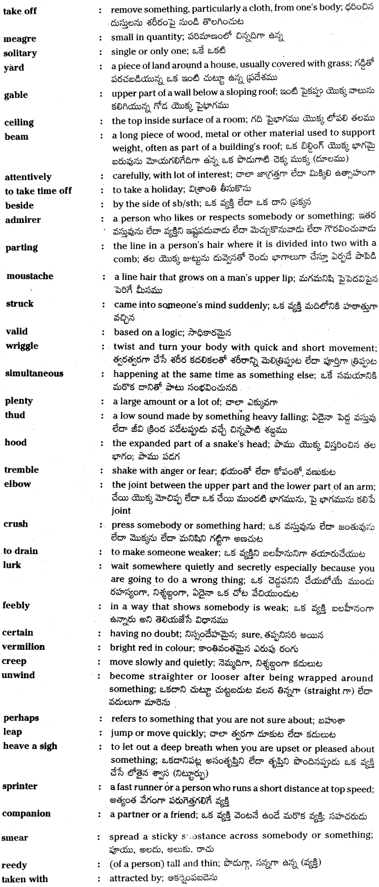 ap scert 9th class English Lesson 5 The Snake and The Mirror