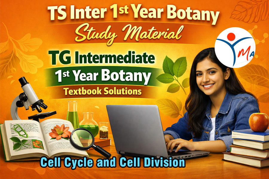 TS Inter 1st Year Botany Study Material Chapter 11 Cell Cycle And Cell ...